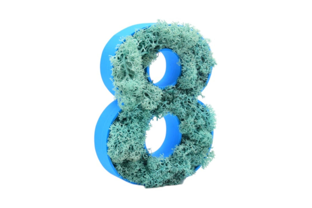 Número de Musgo 3D Turquesa - Decoración orgánica y moderna de 15 cm ...