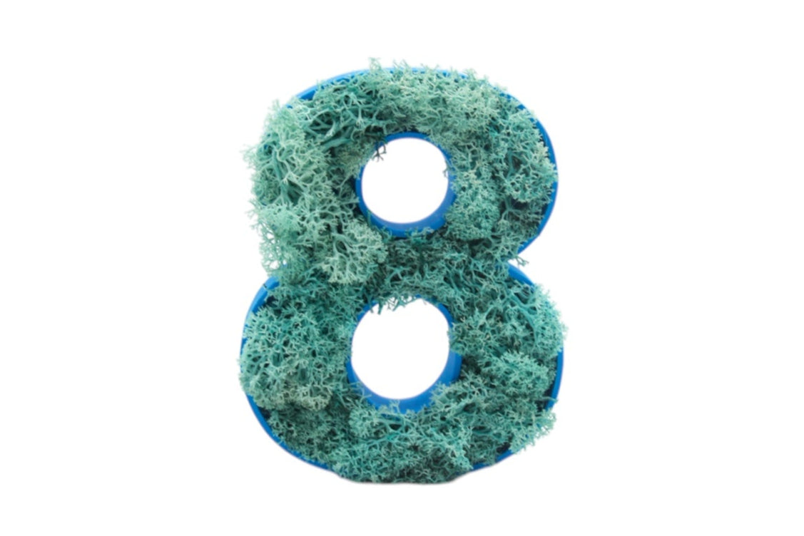 Número de Musgo 3D Turquesa - Decoración orgánica y moderna de 15 cm ...
